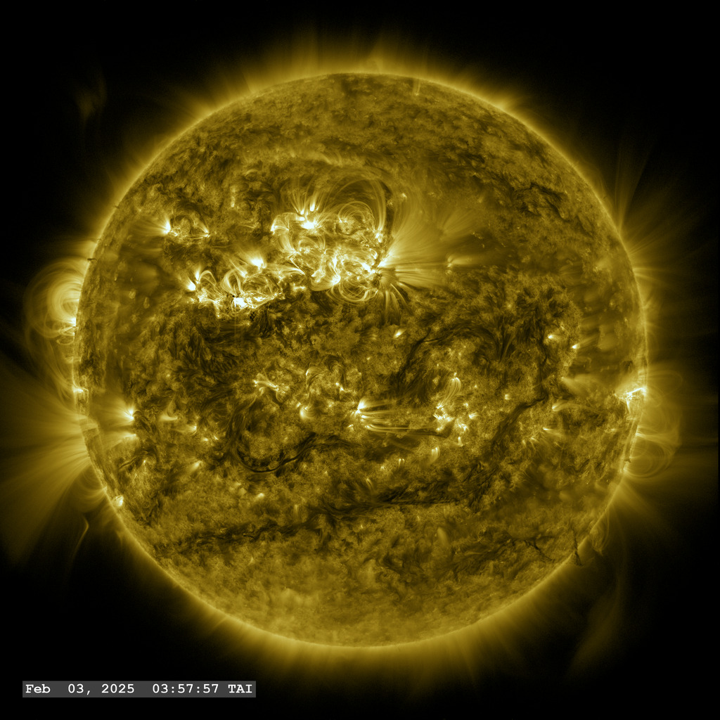 NASA SVS | M8.8 flare from Active Region 13981 - February 3, 2025