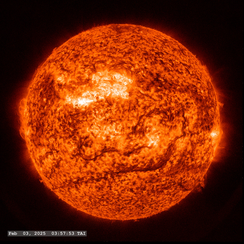NASA SVS | M8.8 flare from Active Region 13981 - February 3, 2025